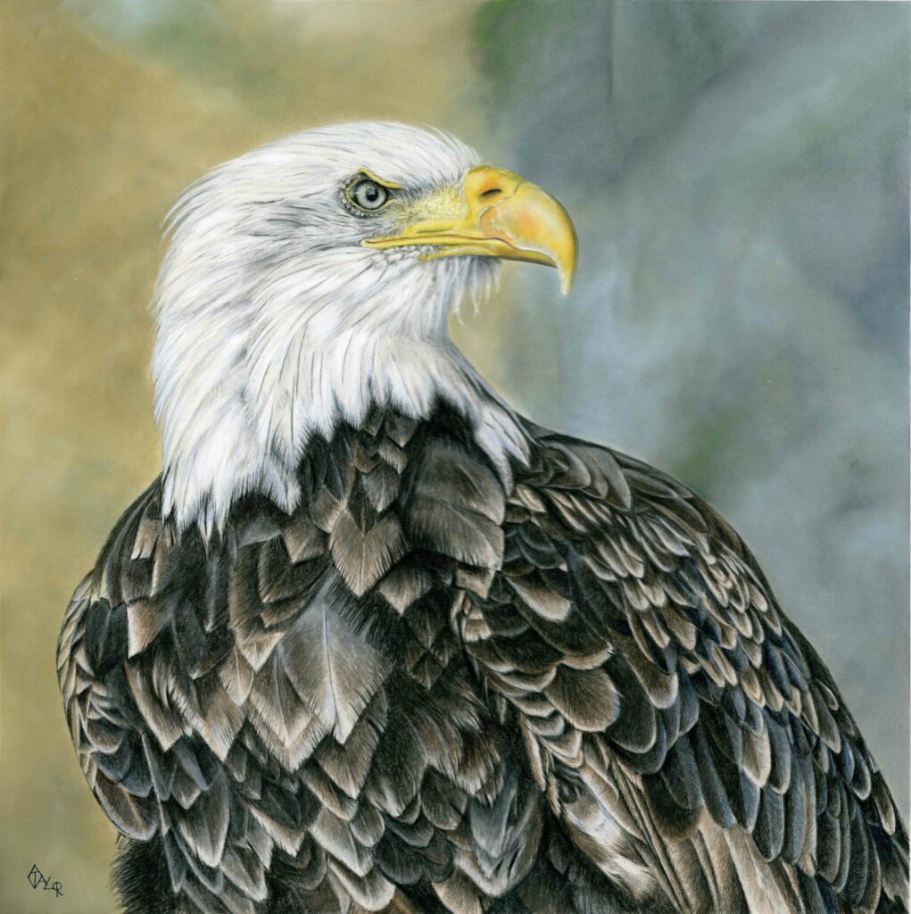 Gallery | Clayton Visual Arts | Bringing Art To Clayton, NC